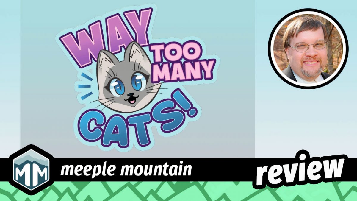 Too Much Information Cat