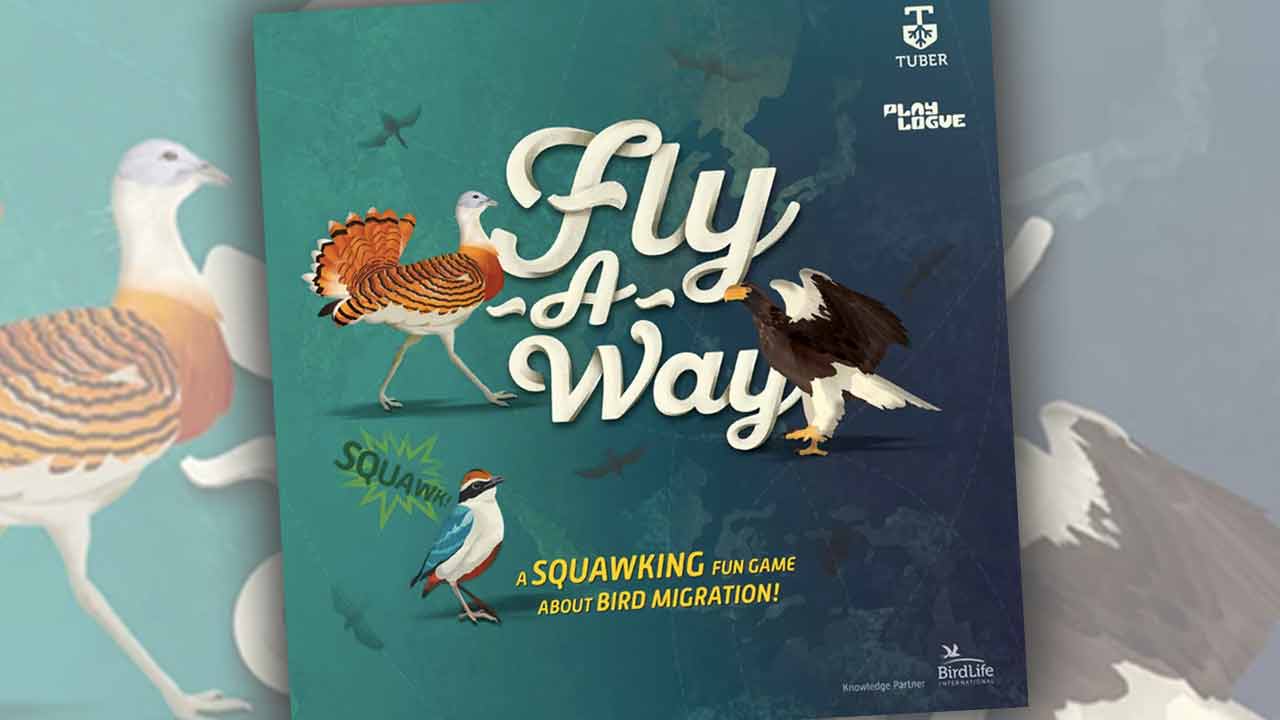Fly-A-Way Game Review – Meeple Mountain